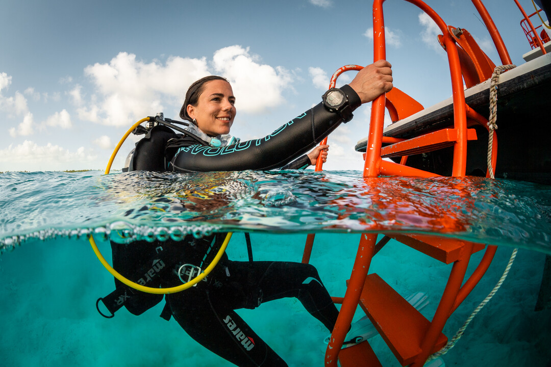 Boat dives for certified divers + rental equipment - Big Blue Diving